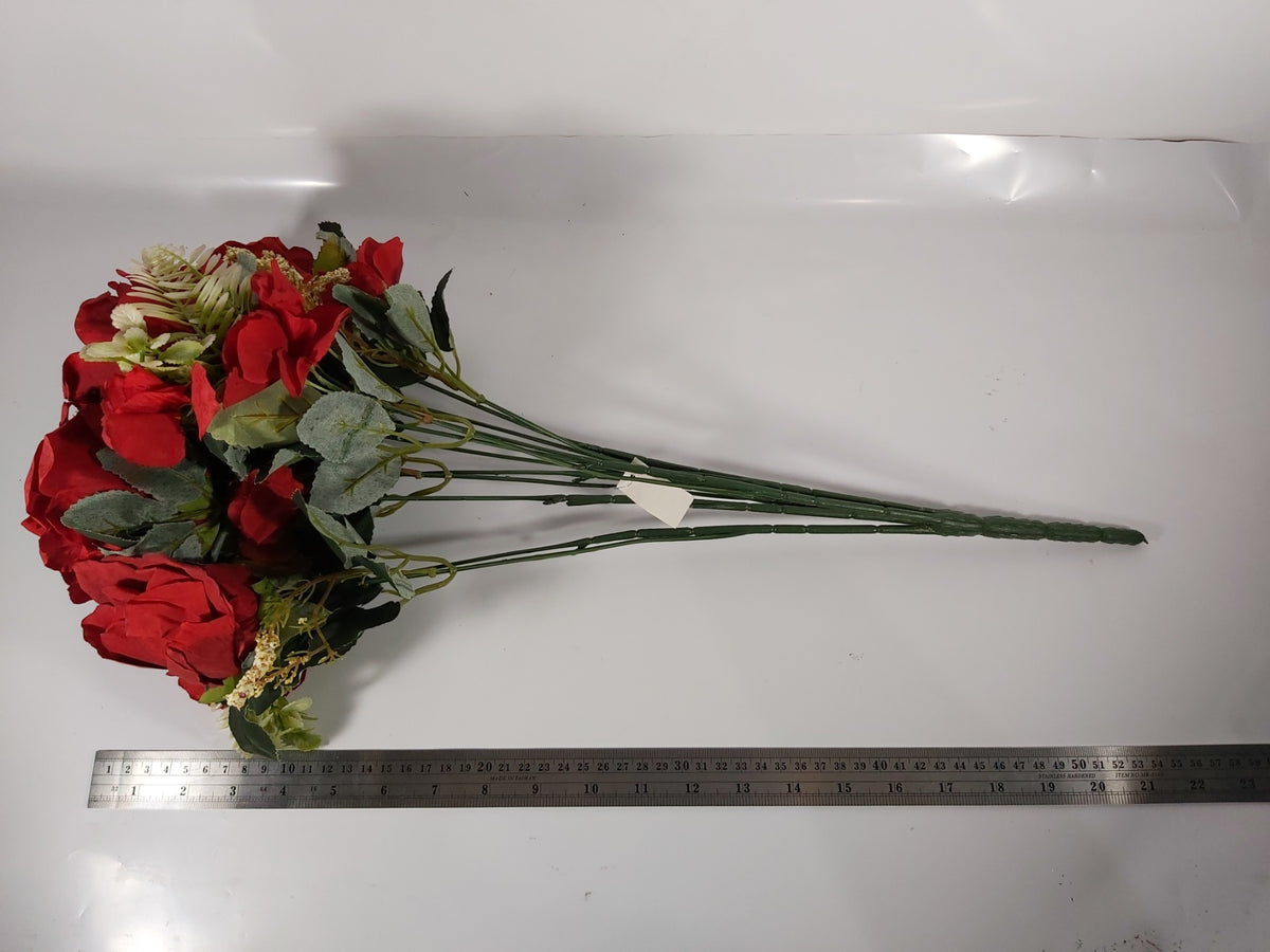 Ecuador Rose Bush – Anding's Toys & Flowers Inc.